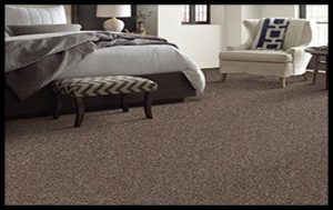 Empire Carpet Vs. Luna Carpet: Which One To Pick?