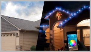 Jellyfish Lighting Vs. Everlight: Illuminating the Pros And Cons