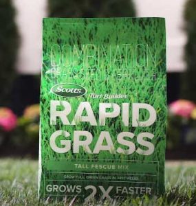 Scotts® EZ Seed Vs. Rapid Grass: The Green Grass Showdown
