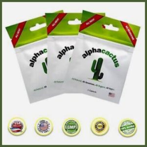 Alpha Cactus Reviews - Is It Worth It?