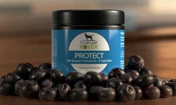 Four Leaf Rover Reviews - Is It Worth It?