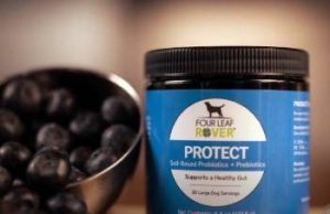 Four Leaf Rover Reviews - Is It Worth It?