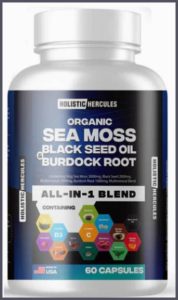 Holistic Hercules Sea Moss Reviews: Is It Worth It?