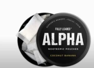 Fully Loaded Alpha Pouches Review From My Personal Experience